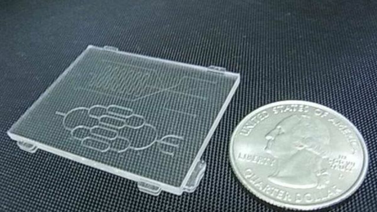 Bonded Plastic Chips